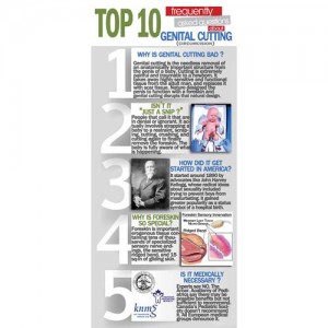TOP 10 FAQ Circumcision Info Cards (50 PACK) Free Ship - Intaction